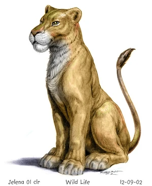 Jelena (The Wild) | Fictional Characters Wiki | Fandom