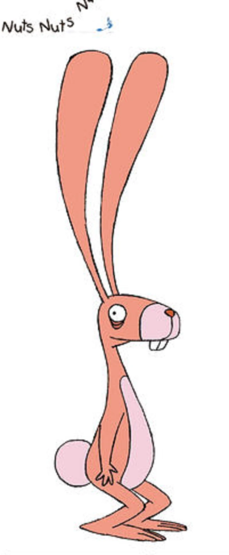 Rabbit (Nuts Nuts Nuts) | Fictional Characters Wiki | Fandom