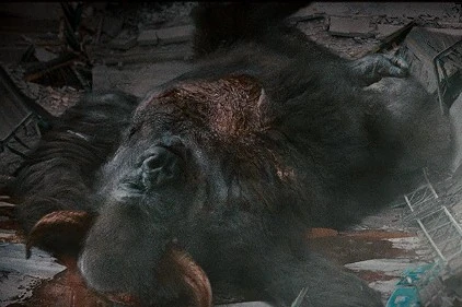 Giant Ape (The Cabin in the Woods) | Fictional Characters Wiki | Fandom