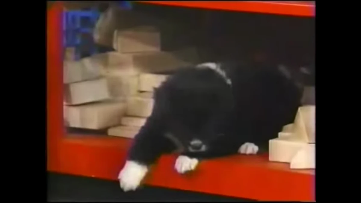 Scooter | Fictional Characters Wiki | Fandom