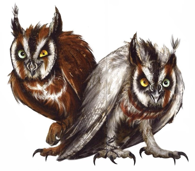 Jatt and Jutt | Fictional Characters Wiki | Fandom