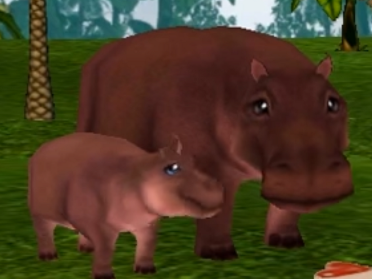 Hippopotamus Vincigenius Fictional Characters Wiki Fandom