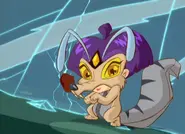 Zing | Fictional Characters Wiki | Fandom