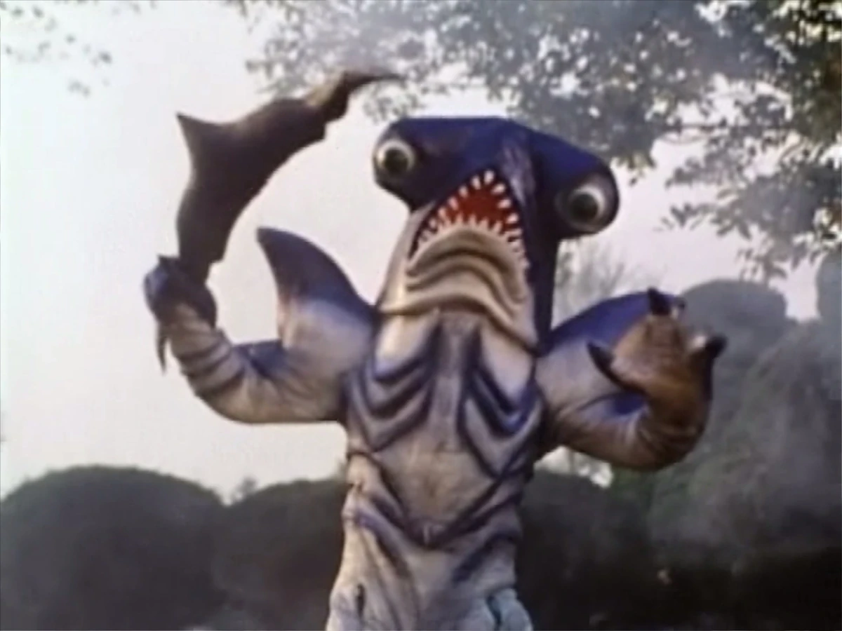 Slippery Shark | Fictional Characters Wiki | Fandom