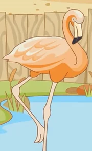 Flamingo (Little Fox) | Fictional Characters Wiki | Fandom