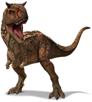 Toro | Fictional Characters Wiki | Fandom