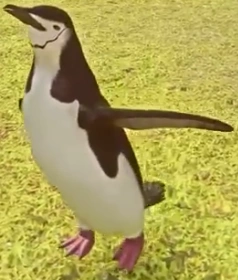 Chinstrap Penguin | Fictional Characters Wiki | Fandom