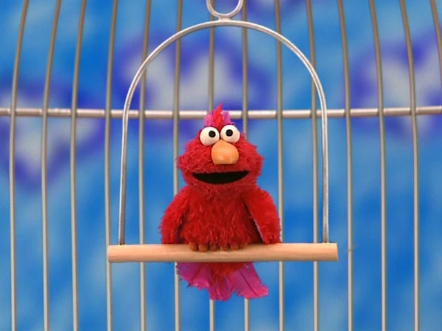 Elmo Bird | Fictional Characters Wiki | Fandom
