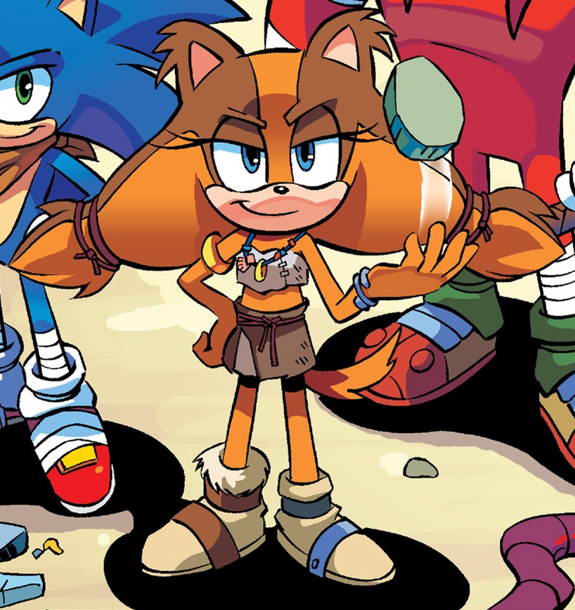 Sonic Boom New Characters Sticks