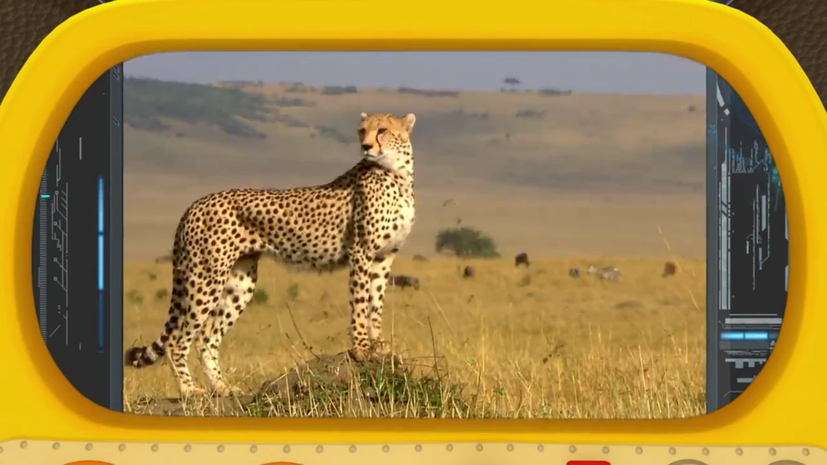 Cheetah (Kemy Expedition) | Fictional Characters Wiki | Fandom