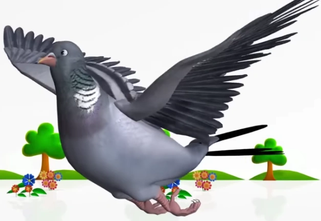 Pigeon (CVS 3D Rhymes) | Fictional Characters Wiki | Fandom
