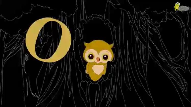 Owl (Turtle Interactive) | Fictional Characters Wiki | Fandom