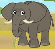 Elephant (Little Fox) | Fictional Characters Wiki | Fandom