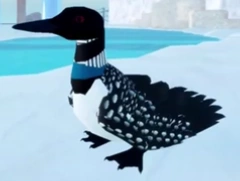 Loon (Feather Family) | Fictional Characters Wiki | Fandom