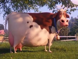 Category:Cows | Fictional Characters Wiki | Fandom