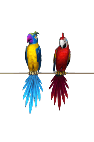 Parrot Couple (Funny Talking) | Fictional Characters Wiki | Fandom