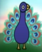 Peacock (Elmo's World) | Fictional Characters Wiki | Fandom