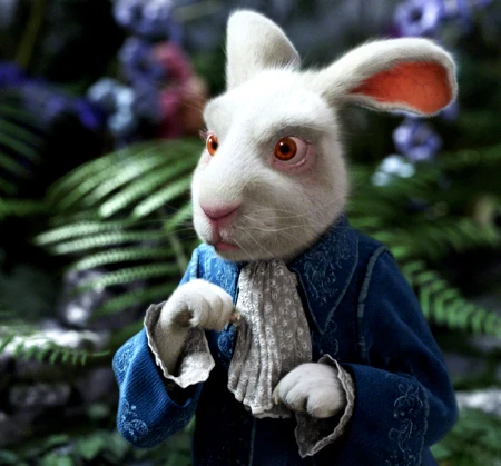 White Rabbit | Fictional Characters Wiki | Fandom