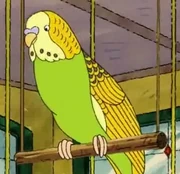 Tosca | Fictional Characters Wiki | Fandom