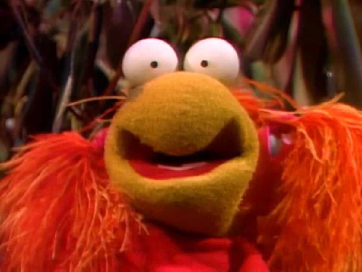Muppet Eyes/Gallery | Fictional Characters Wiki | Fandom