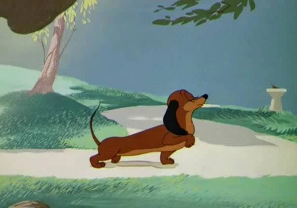Dinah the Dachshund | Fictional Characters Wiki | Fandom
