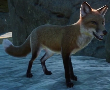 Red Fox | Fictional Characters Wiki | Fandom