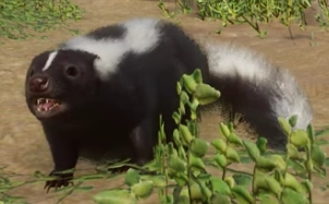 Striped Skunk | Fictional Characters Wiki | Fandom