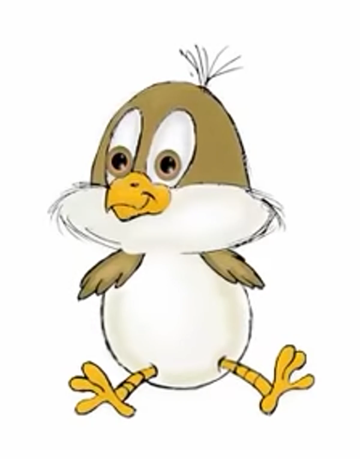 Bird (Braintofu) | Fictional Characters Wiki | Fandom