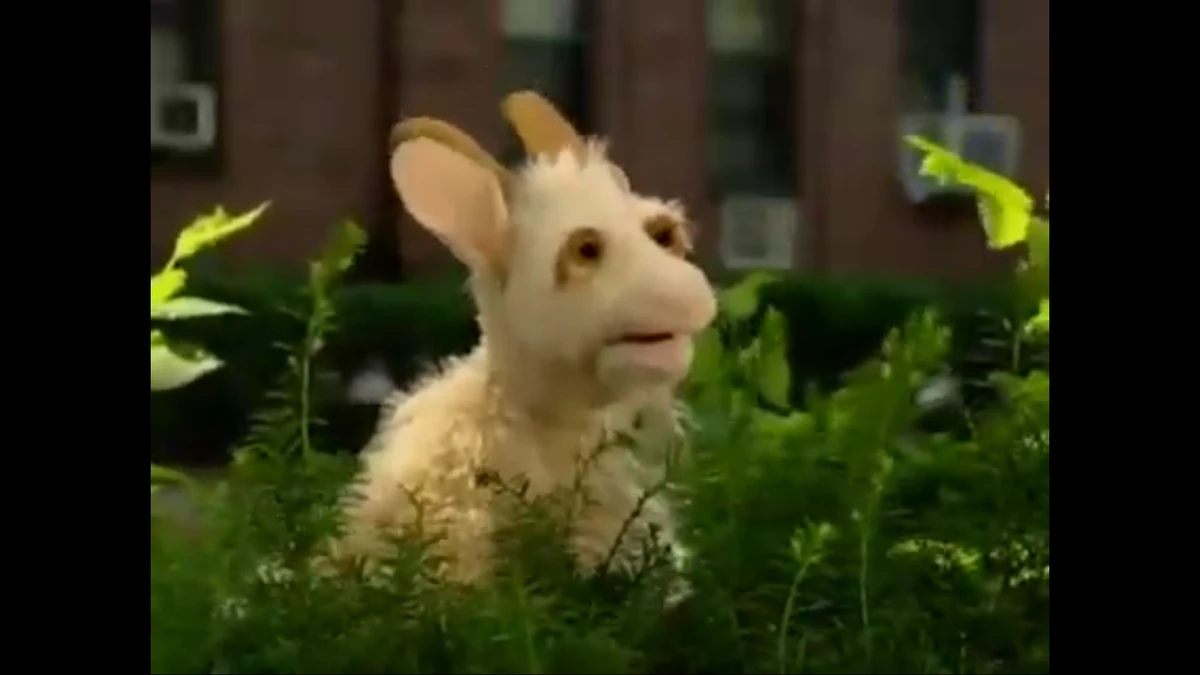 Lassie | Fictional Characters Wiki | Fandom