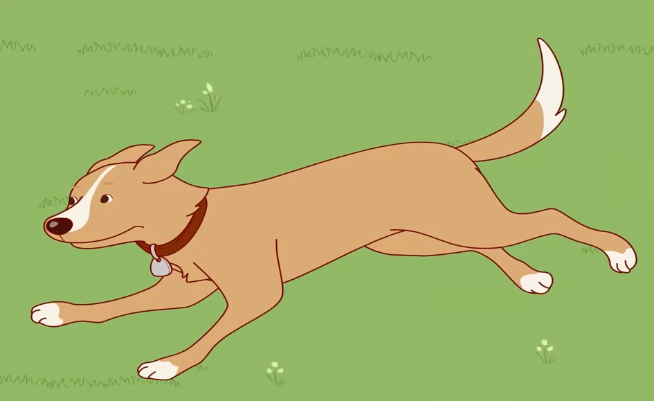 Rover (Little Fox) | Fictional Characters Wiki | Fandom