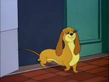 Dinah the Dachshund | Fictional Characters Wiki | Fandom