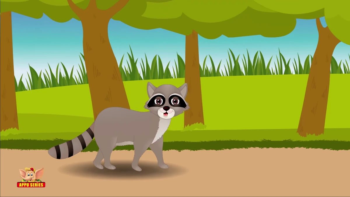 Raccoon (Appuseries) | Fictional Characters Wiki | Fandom