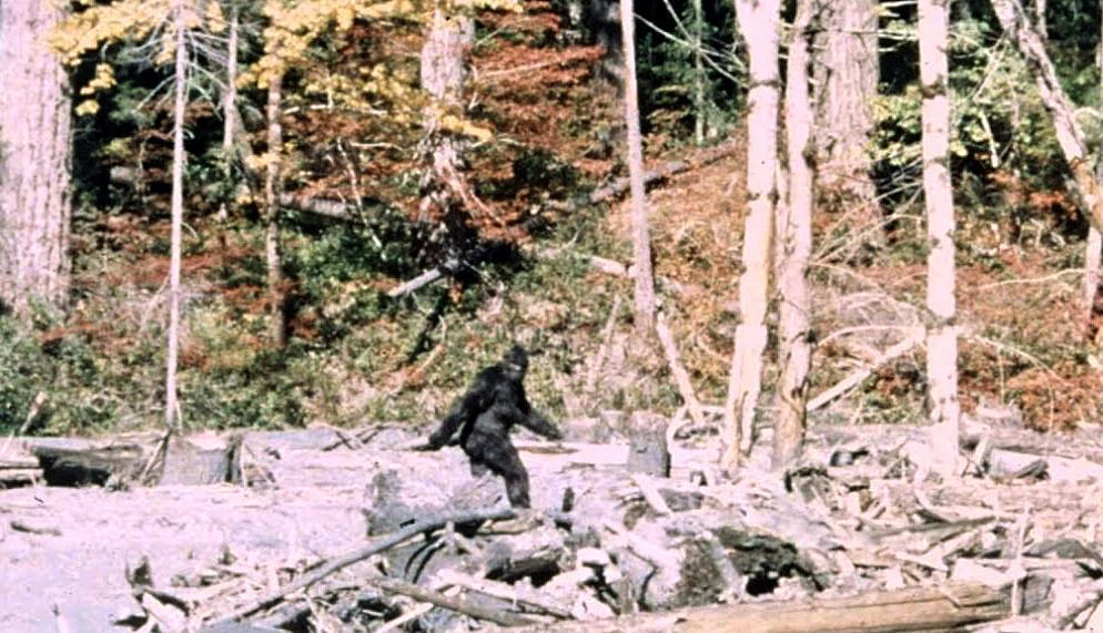 Bigfoot (Folklore) | Fictional Characters Wiki | Fandom