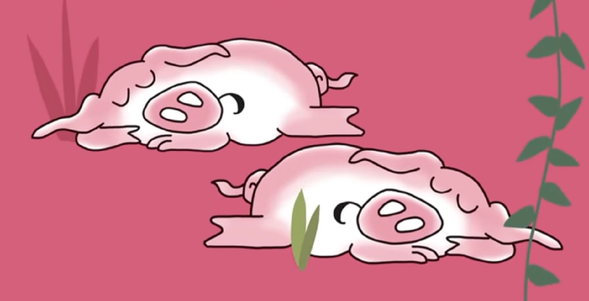 Red River Hogs (Sandra Boynton) | Fictional Characters Wiki | Fandom