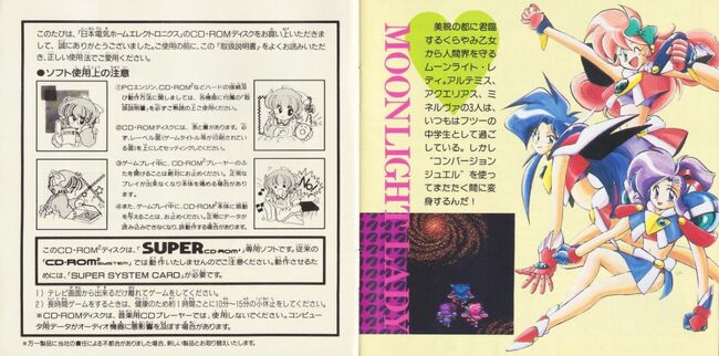 Hiyoko Irotsuki | Fictional Characters Wiki | Fandom