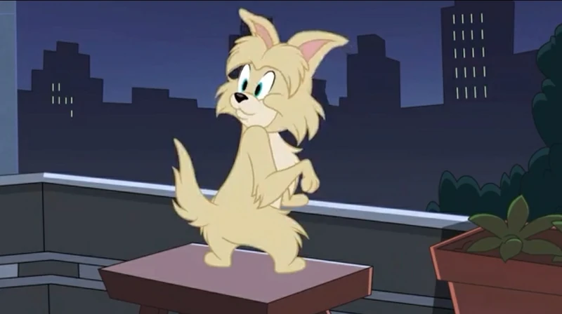 Stardust | Fictional Characters Wiki | Fandom