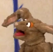 Bunny (Elmo's World) | Fictional Characters Wiki | Fandom