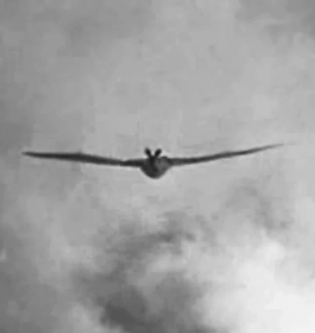 Igor | Fictional Characters Wiki | Fandom