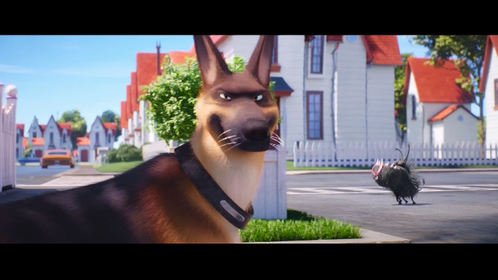 German Shepherd (The Secret Life of Kyle) | Fictional Characters Wiki ...
