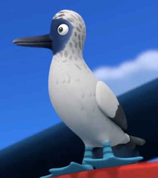 Blue-footed booby bird | Fictional Characters Wiki | Fandom
