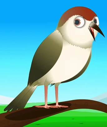 Long-Billed Tailor Bird | Fictional Characters Wiki | Fandom