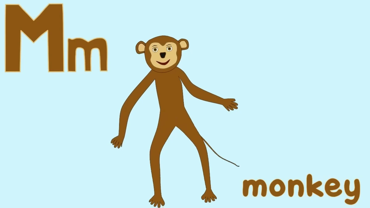 Monkey (KidsTV123) | Fictional Characters Wiki | Fandom