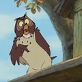 Owl (Winnie the Pooh) | Fictional Characters Wiki | Fandom