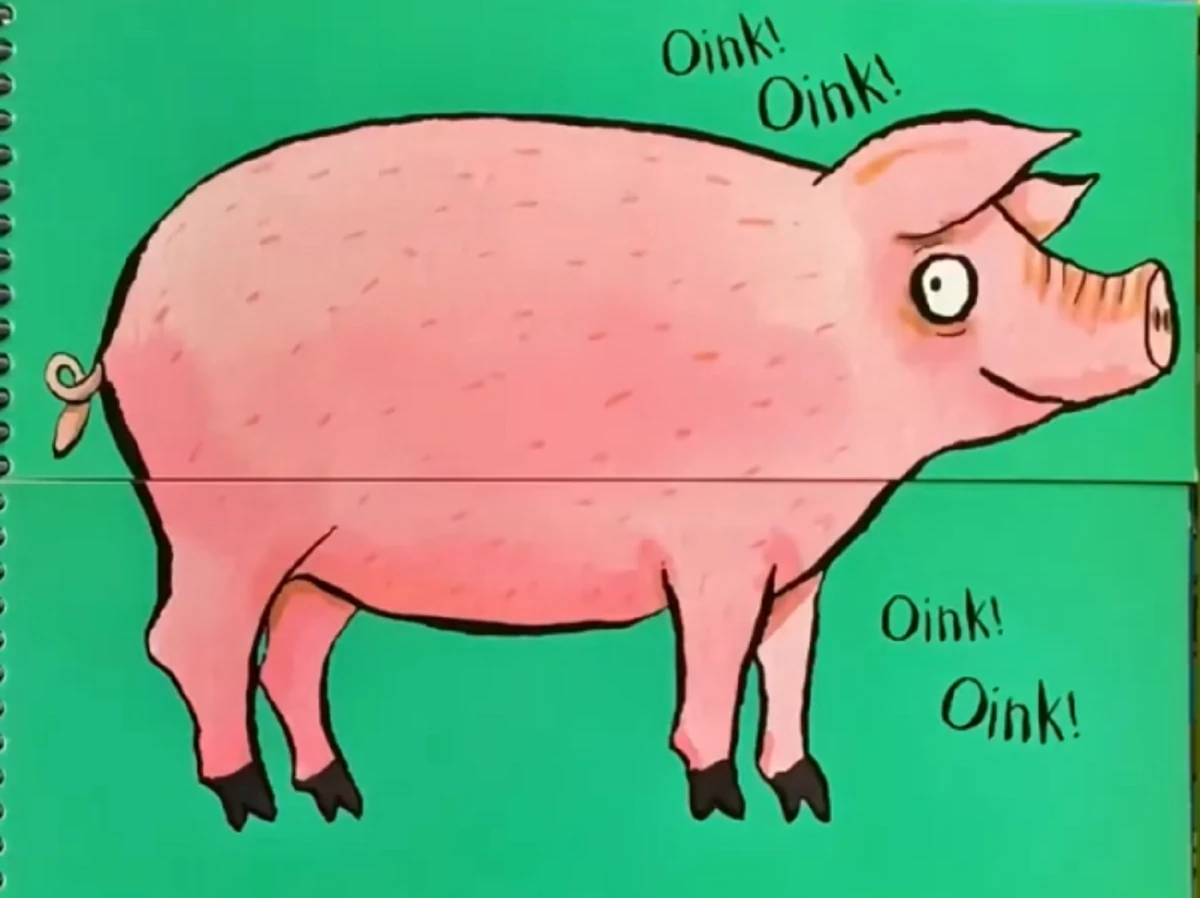 Pig (Axel Scheffler: Flip Flap Farm) | Fictional Characters Wiki | Fandom