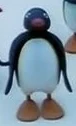 Pengy | Fictional Characters Wiki | Fandom
