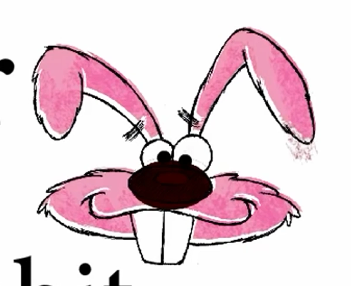 Rabbit (Braintofu) | Fictional Characters Wiki | Fandom