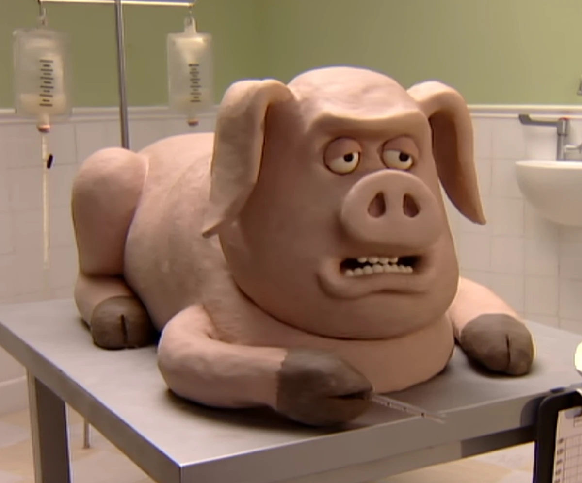 Anthony the Pig | Fictional Characters Wiki | Fandom