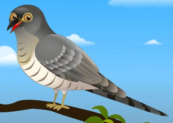 Cuckoo (AppuSeries) | Fictional Characters Wiki | Fandom