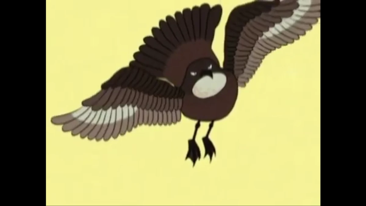 Skua Bird | Fictional Characters Wiki | Fandom