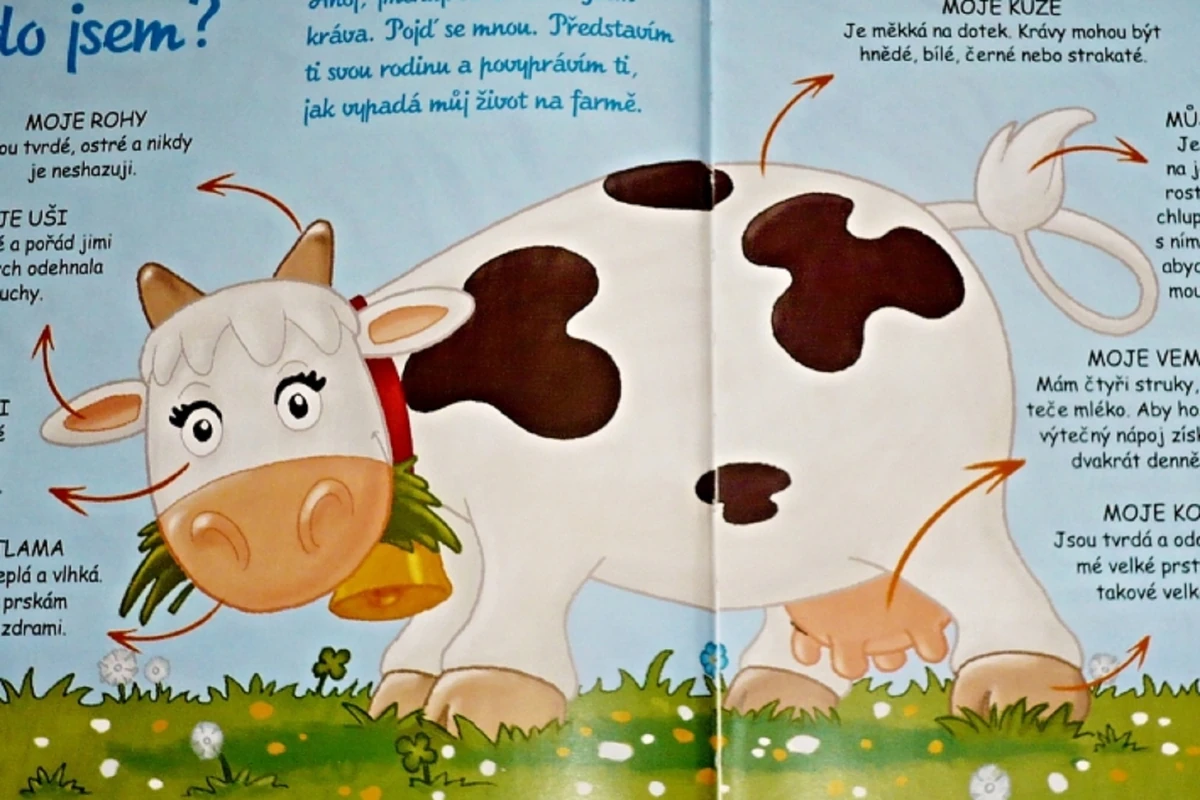 Patsy the Cow | Fictional Characters Wiki | Fandom